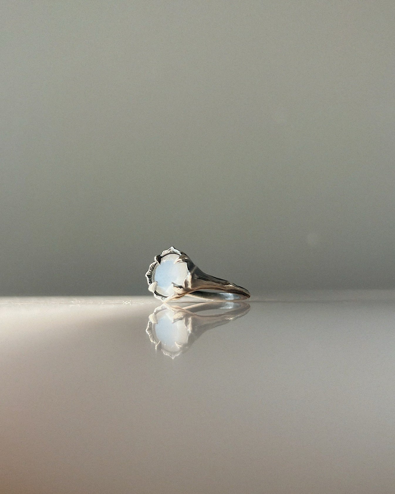 Daphne // Ring – Ecclesia