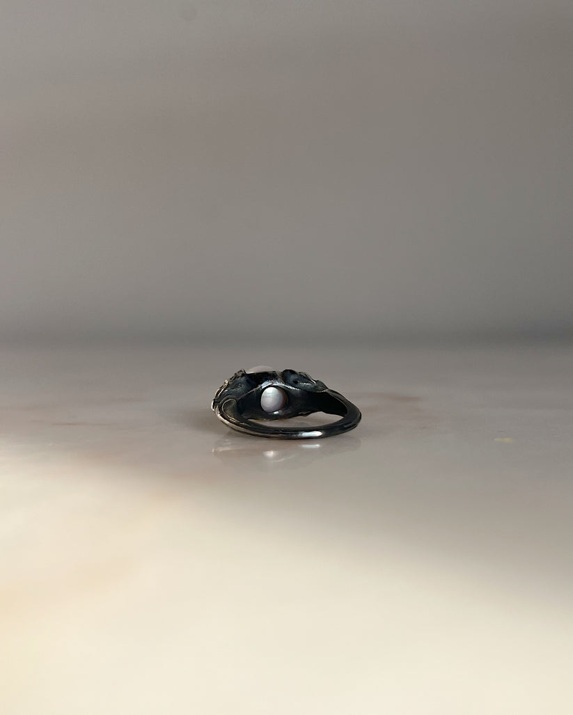 Divers // Ring – Ecclesia