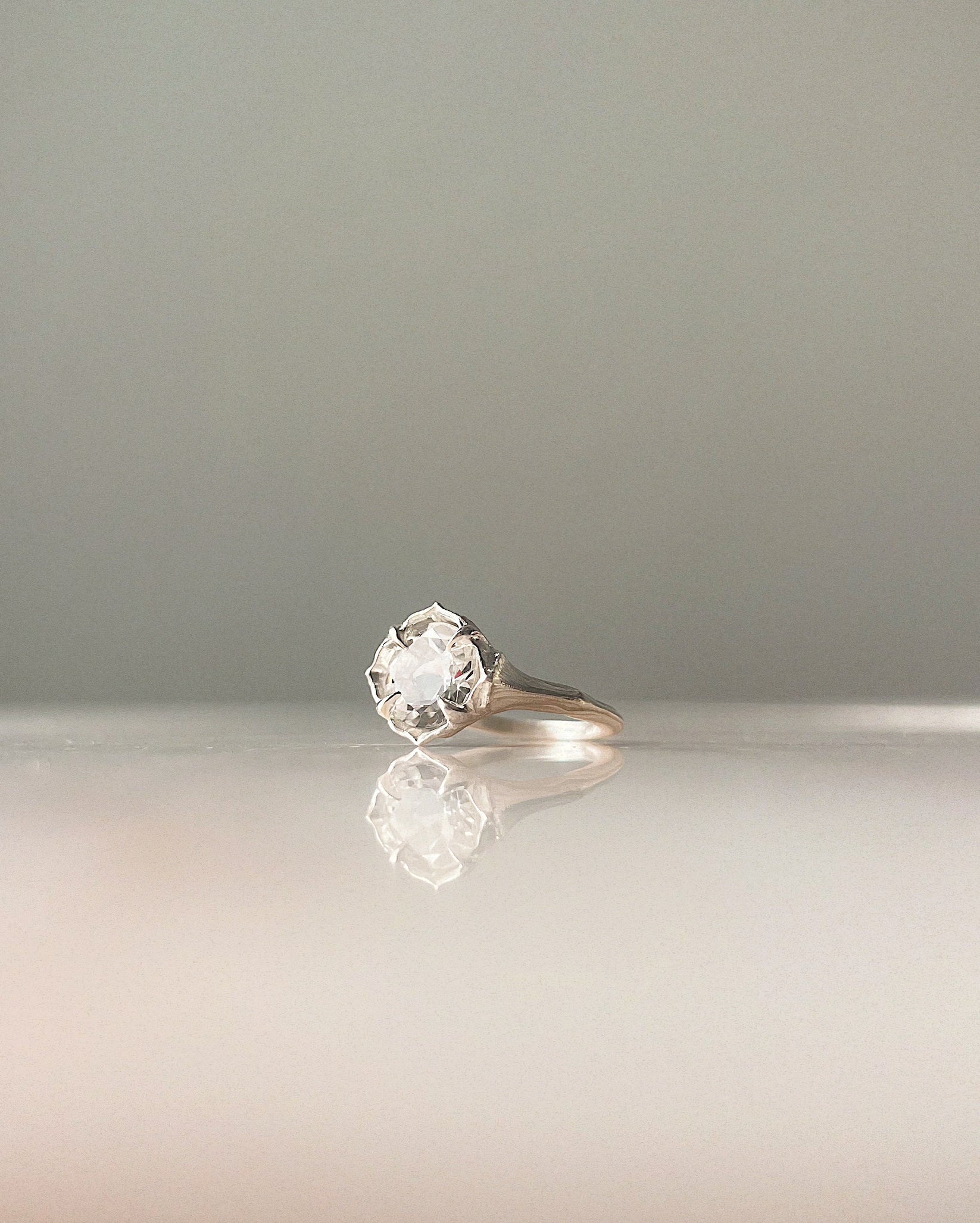 Daphne // Ring – Ecclesia