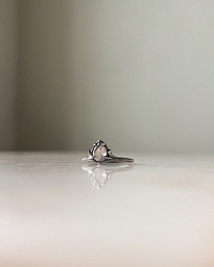 Baby Eden II // Ring – Ecclesia