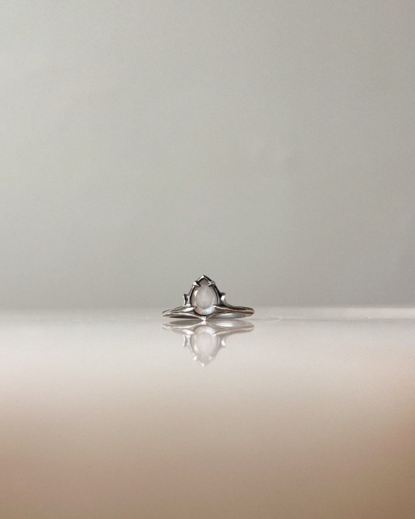 Baby Eden II // Ring – Ecclesia