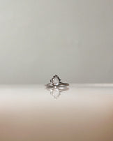 Baby Eden II // Ring – Ecclesia