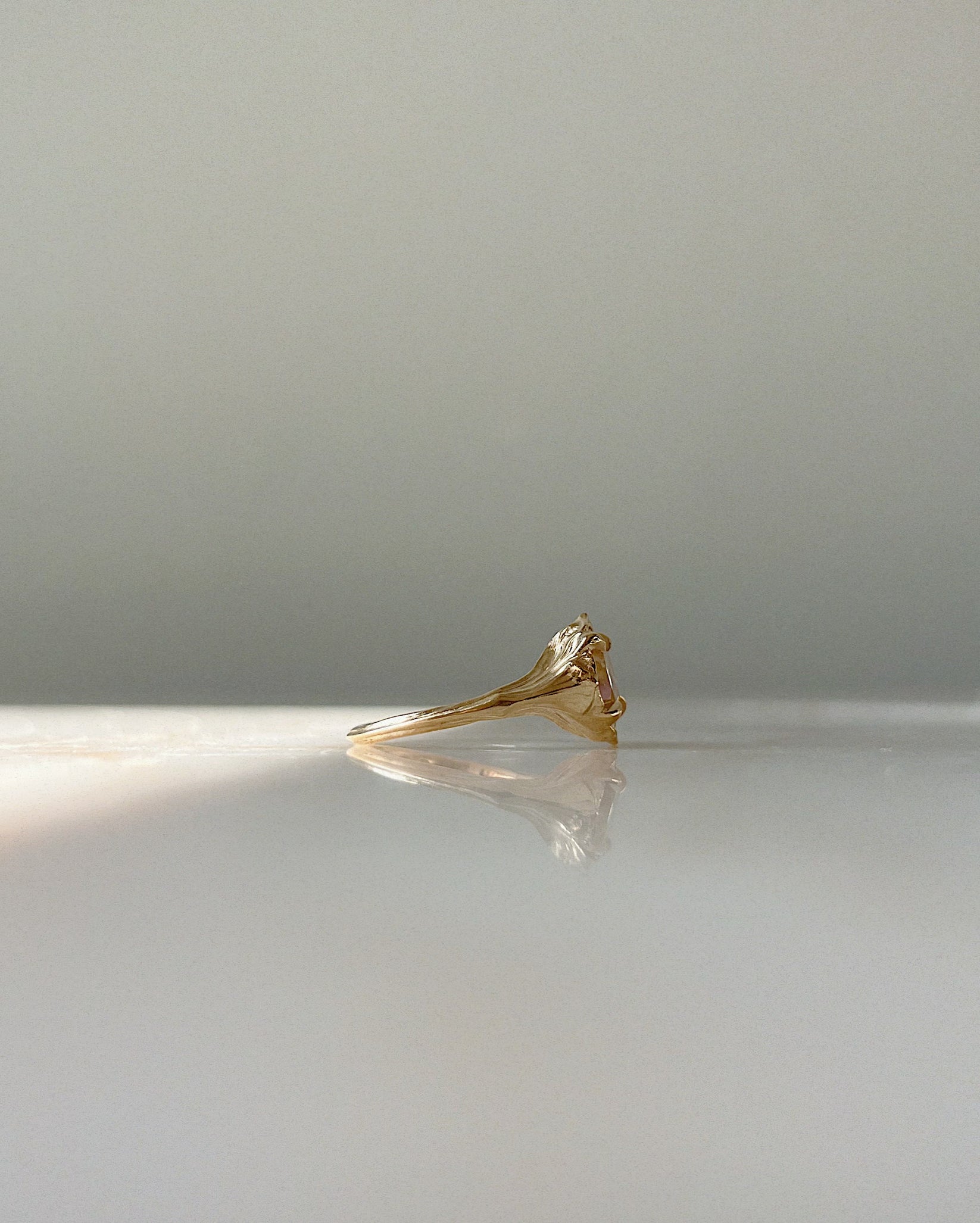 Daphne // 14k Gold // Ring – Ecclesia