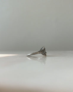 Daphne // Ring – Ecclesia