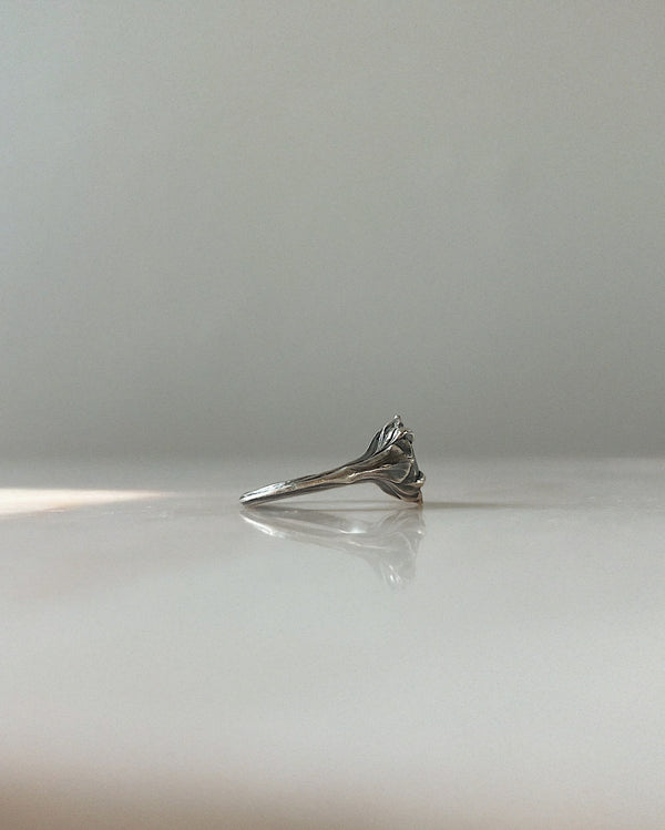 Daphne // Ring – Ecclesia