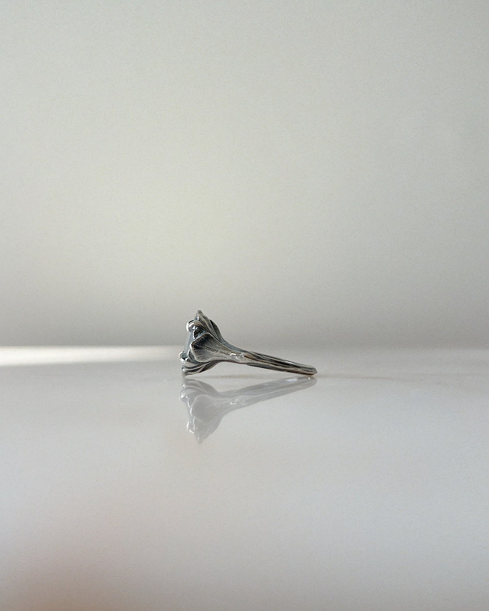 Daphne // Ring – Ecclesia