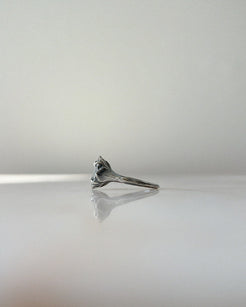 Daphne // Ring – Ecclesia