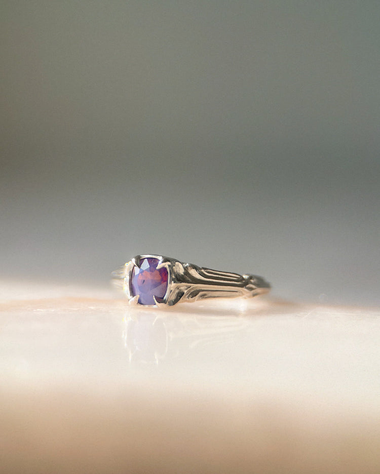 Collections – Ecclesia