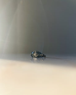 Divers // Ring – Ecclesia