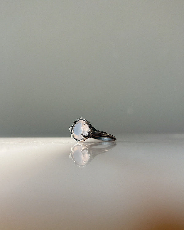 Daphne // Ring – Ecclesia