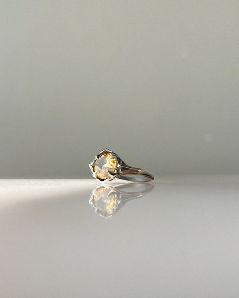 Daphne // Ring – Ecclesia