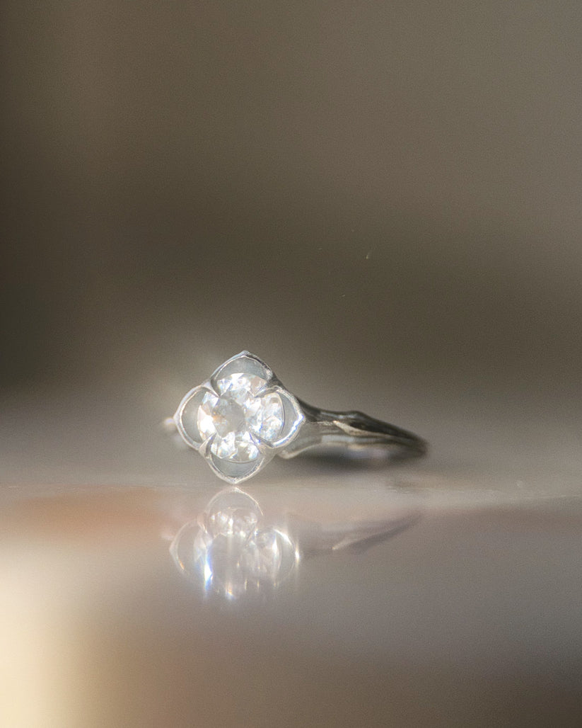 Baby Daphne // 6.5mm – Ecclesia