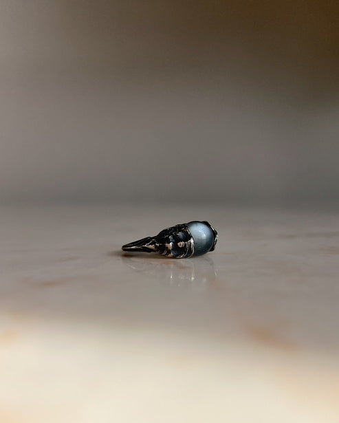 Divers // Ring – Ecclesia