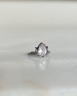 Eden II // Ring – Ecclesia